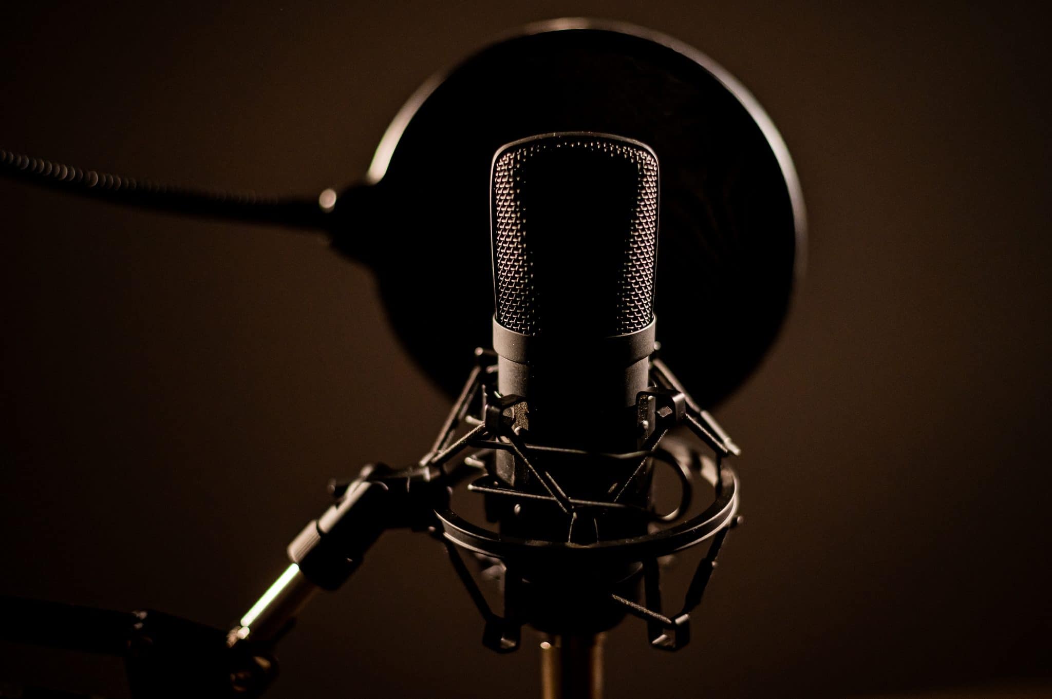 The 13 Best Tube Microphones for Perfect Audio on Any Budget